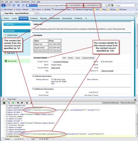 visualforce developer guide getting query string parameters