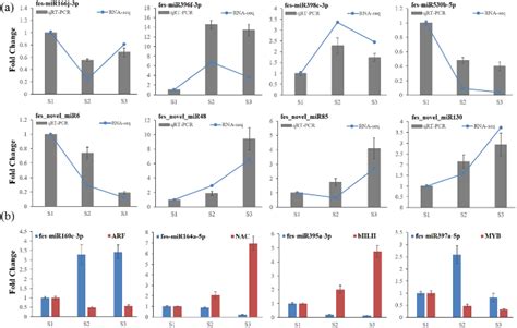 Validation Differentially Expressed Mirnas And Their Target Genes