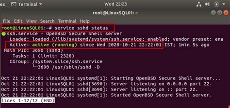 how to install ubuntu 18 04 and sql server 2019 on linux {coding}sight