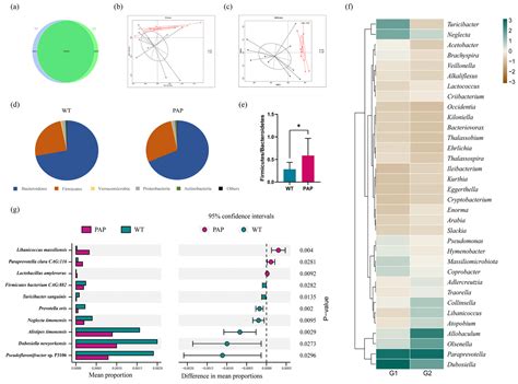 Ijms Free Full Text Comparative Metagenomics And Metabolomes