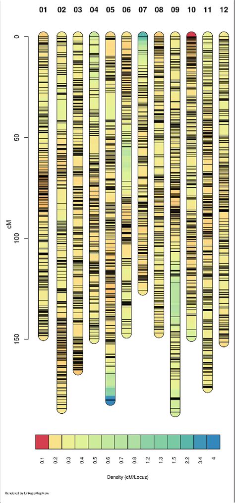 Figure 1 From High Resolution Linkage Map And Qtl Analyses Of Fruit