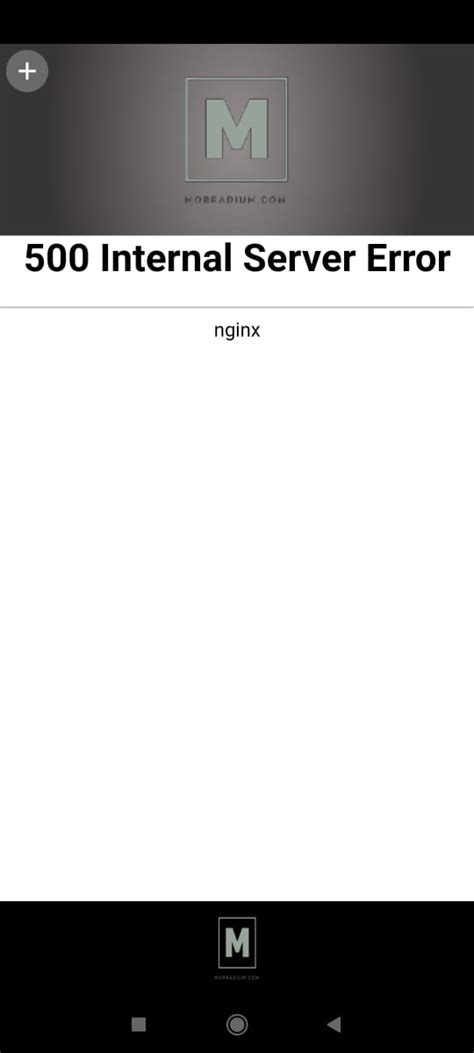 random error 500 nginx proxy · issue 3000 · azuracast