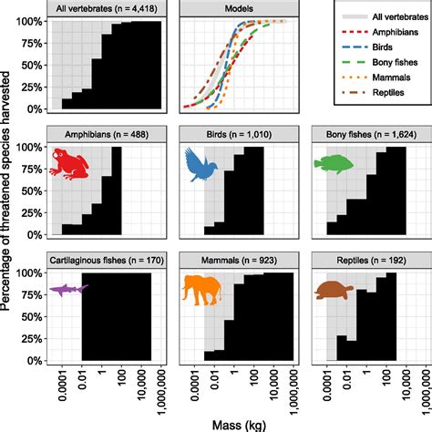 extinction risk is most acute for the world s largest and smallest