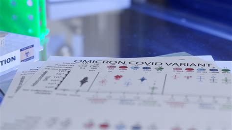 Subvariantes De ómicron Crecen En Reino Unido Publimetro Chile