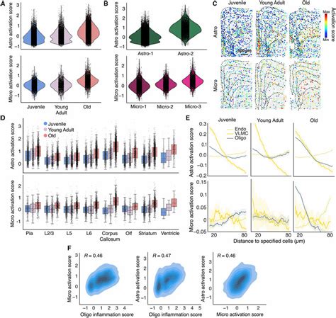 Spatially Heterogeneous And Cell Type Specific Inflammatory Activation