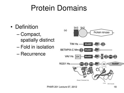 Ppt Understanding Sequence Structure And Function Relationships And