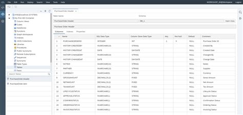 sap hana xs advanced creating an hdi module tutorials for sap developers