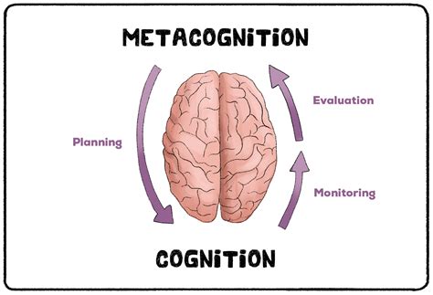 Metacognition