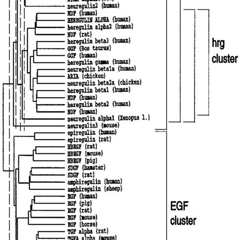 Multiple Sequence Alignment And Dendrogram Of Sequences Used In This