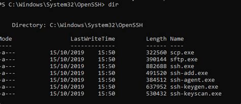 How To Use Native Ssh Client In Windows 10 Windows Os Hub