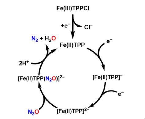 Scheme 1 Proposed Catalytic Cycle Download Scientific Diagram