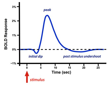 Hemodynamic Response Function Hrf Fmri For Beginners