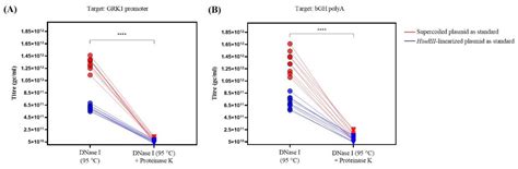 Genes Free Full Text Accurate Quantification Of Aav Vector Genomes