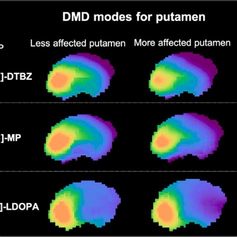 Dynamic Mode Decomposition Dmd Modes Spatial Patterns Z Transformed