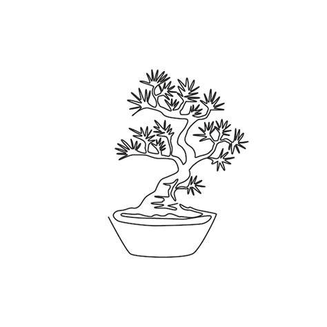 Premium Vector One Continuous Line Drawing Beauty And Exotic Bonsai