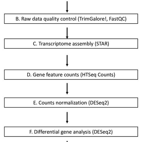 Typical Pipeline For Rna Seq Data Analysis For Differential Gene