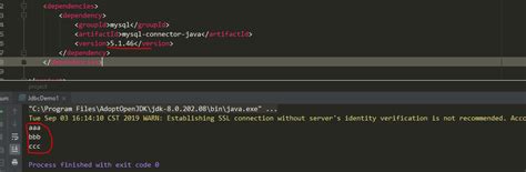 caused by java lang classcastexception java math biginteger