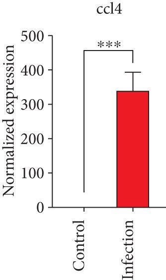 Validation Of Mrna Expression Level Of Selected Significant Chemokines