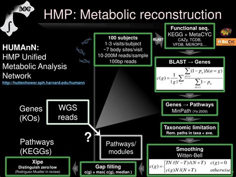 Ppt Scalable Metabolic Reconstruction For Metagenomic Data And The