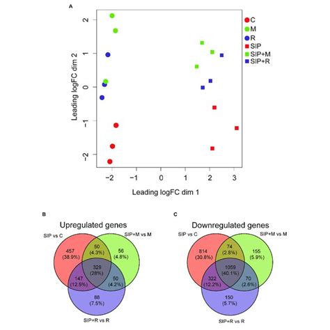 A Multi Dimensional Scaling Mds Plot For The Obtained