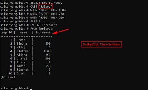 postgresql case with examples