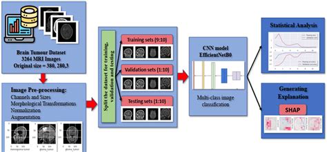 Figure 1 From An Effective Deep Cnn Model For Multiclass Brain Tumor