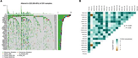 Frontiers Significance Of Tumor Mutation Burden Combined With Immune