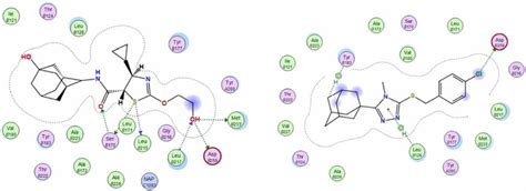 Binding Interactions Of The Co Crystallized Ligand 4yq Left And