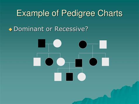 x linked recessive pedigree example