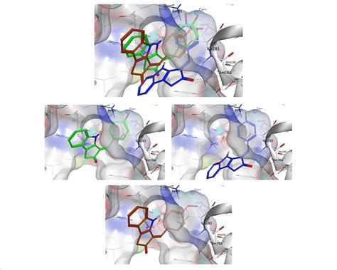 The Binding Conformation Of Scym With Best Binding Score 1 Green
