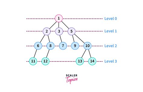 level order traversal scaler topics
