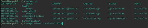 how to install mongodb in rhel and in docker container