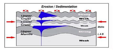 Model For The Formation Of Crustal Folds In A Layered And Young