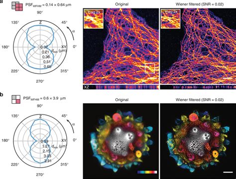 Blind Wiener Deconvolution In 3d With Psf Estimated From Sfsc