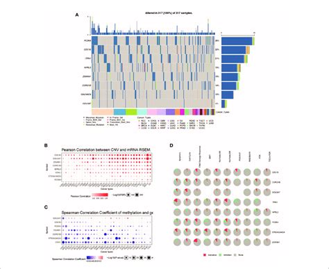 Genome Wide Analysis Of Trrs A An Oncoplot Also Known As A