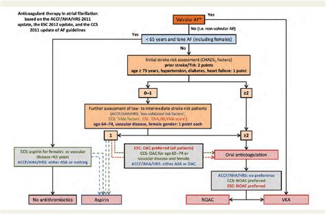 Atrial Flutter Algorithm
