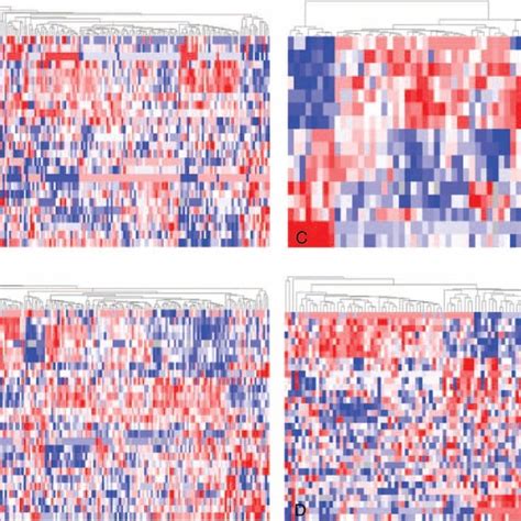unsupervised hierarchical cluster analysis of the differentially