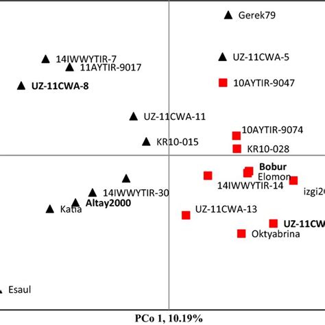 Principal Coordinates Analysis Pcoa Plot Using A Genetic Distance
