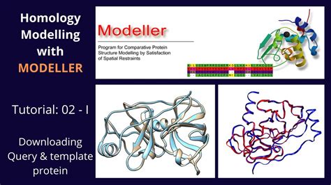 Homology Modelling Tutorial 2 Of 5 Part 1 Modeller Youtube