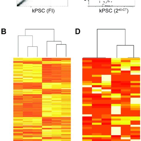 Transcriptome Analysis Of Human Cmscs Compared To Kpscs Of The Same