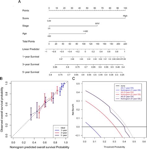 The Construction And Verification Of The Nomogram In The Tcga Cohort