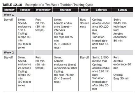 Aerobic Capacity Exercises Examples