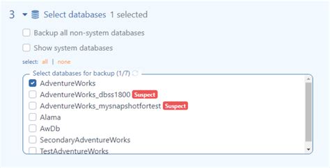 how to copy sql server database from windows to linux choose databases