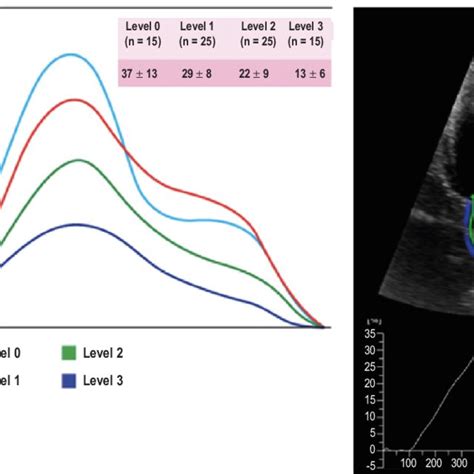 Left Atrial Strain Phases Reservoir Conduit And Contraction