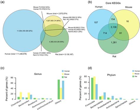 Annotation Of Non Redundant Genes To Kos Modules And Pathways The