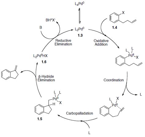 Scheme 2 2 General Catalytic Cycle Of A Pd 0 Pd Ii Intermolecular