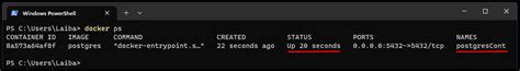 how to use postgres docker official image commandprompt inc