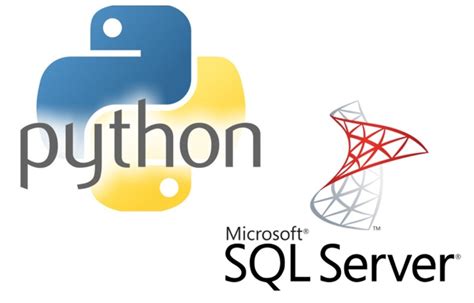 how to execute python code in microsoft sql server on t sql