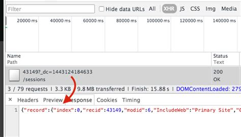 javascript extjs model load gets error invalid record id returned
