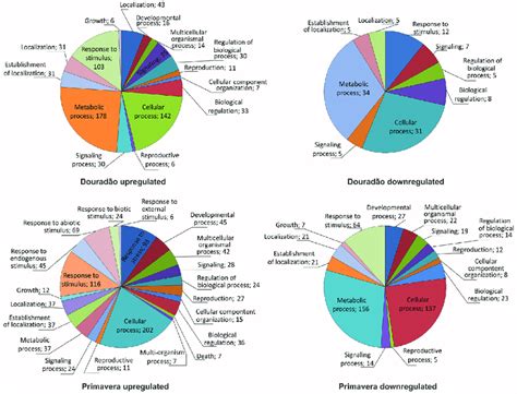 Functional Classification Of Up And Downregulated Genes In The Douradão